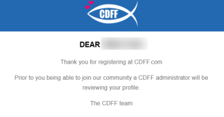 CDFF Review June 2025 – Is This Christian Dating Site Legit? - DatingScout
