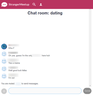 StrangerMeetup Review July 2024: Chat with strangers for free - DatingScout