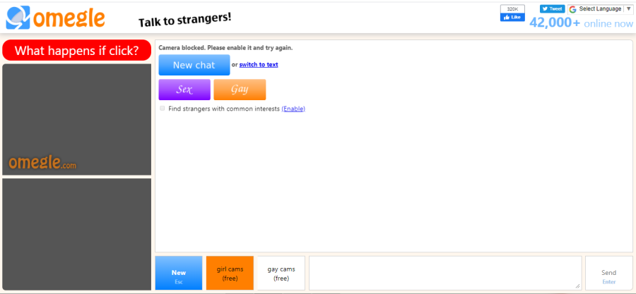 Omegle Review December 2025: From Strangers to Lovers? - DatingScout